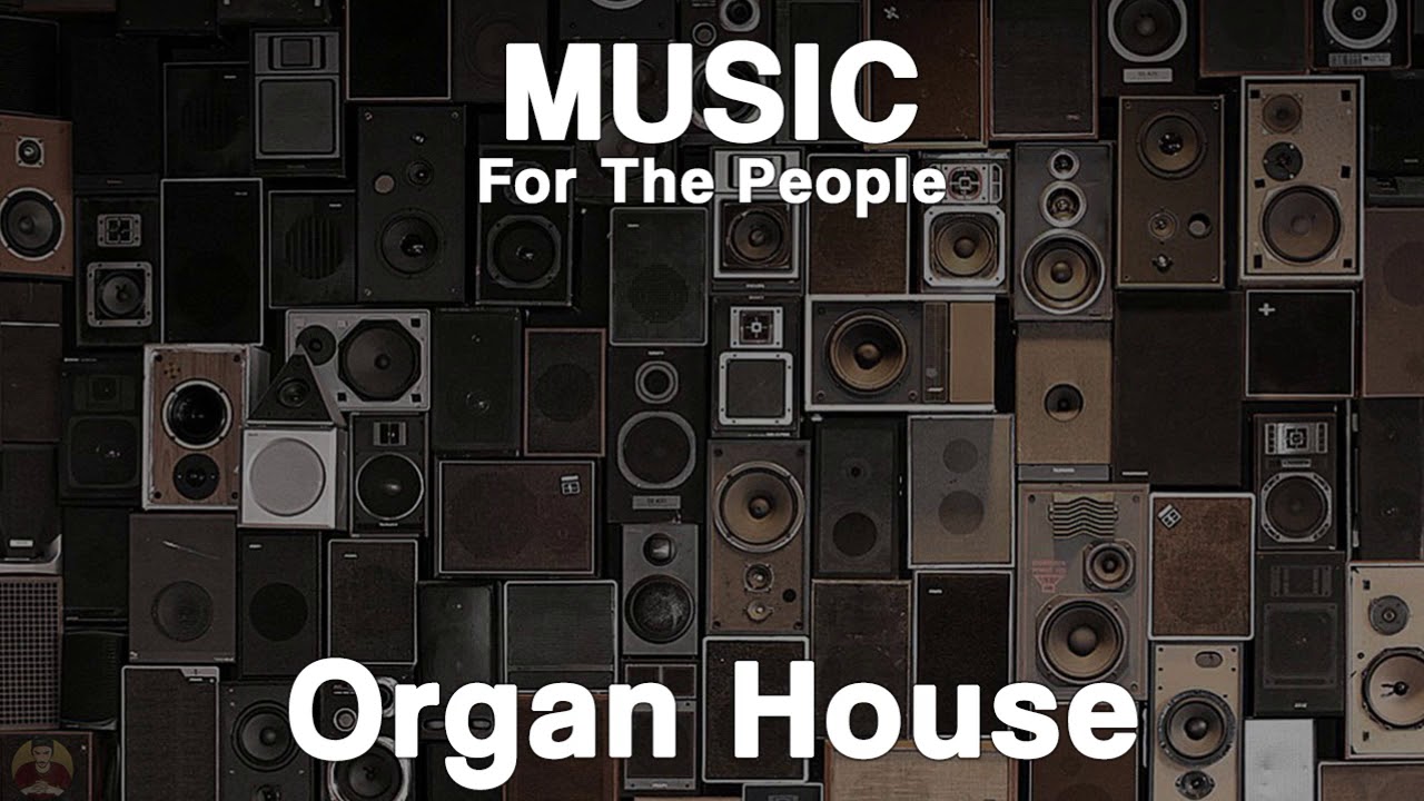 Real Vibration - Want Love (Real Club Mix) | Organ House - YouTube Music