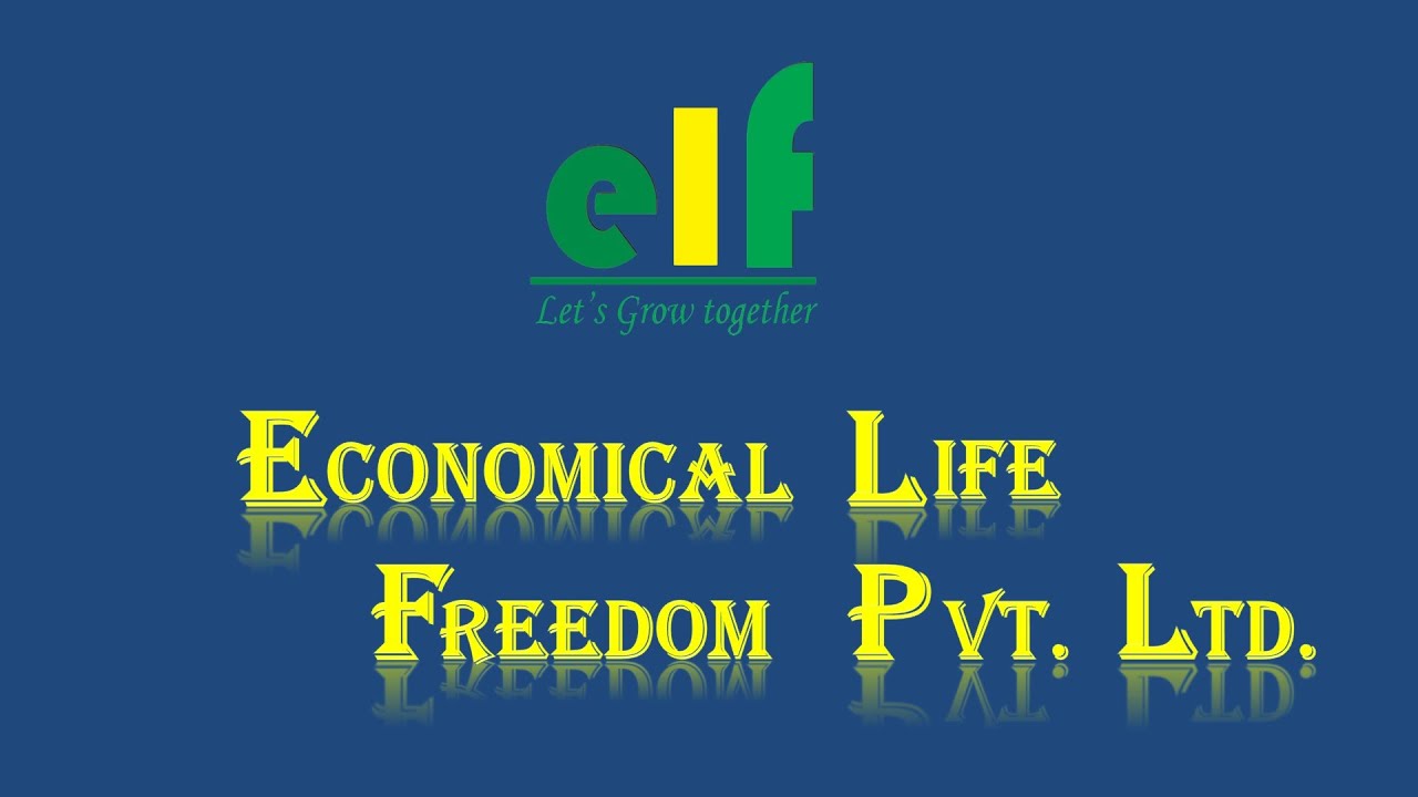ELF Business Plan by Voice of ELF | ई. एल. एफ. बिजनस प्लान | Plan 2023 ...
