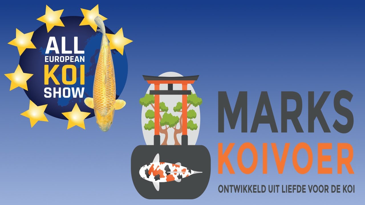 All European Koi Show: Marks Koivoer sponsort voer voor winnaars, komt ...