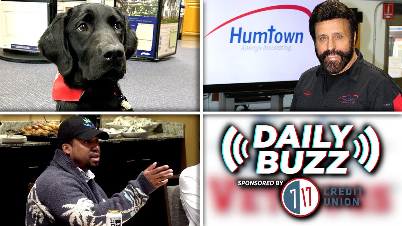 Service Dog in Training at Window World; Humtown’s Philanthropy ...