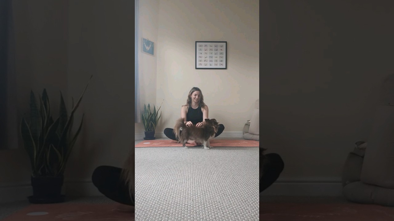 Yoga practice interrupted... by my furry guru 🐾😭🩷 #yoga #love # ...