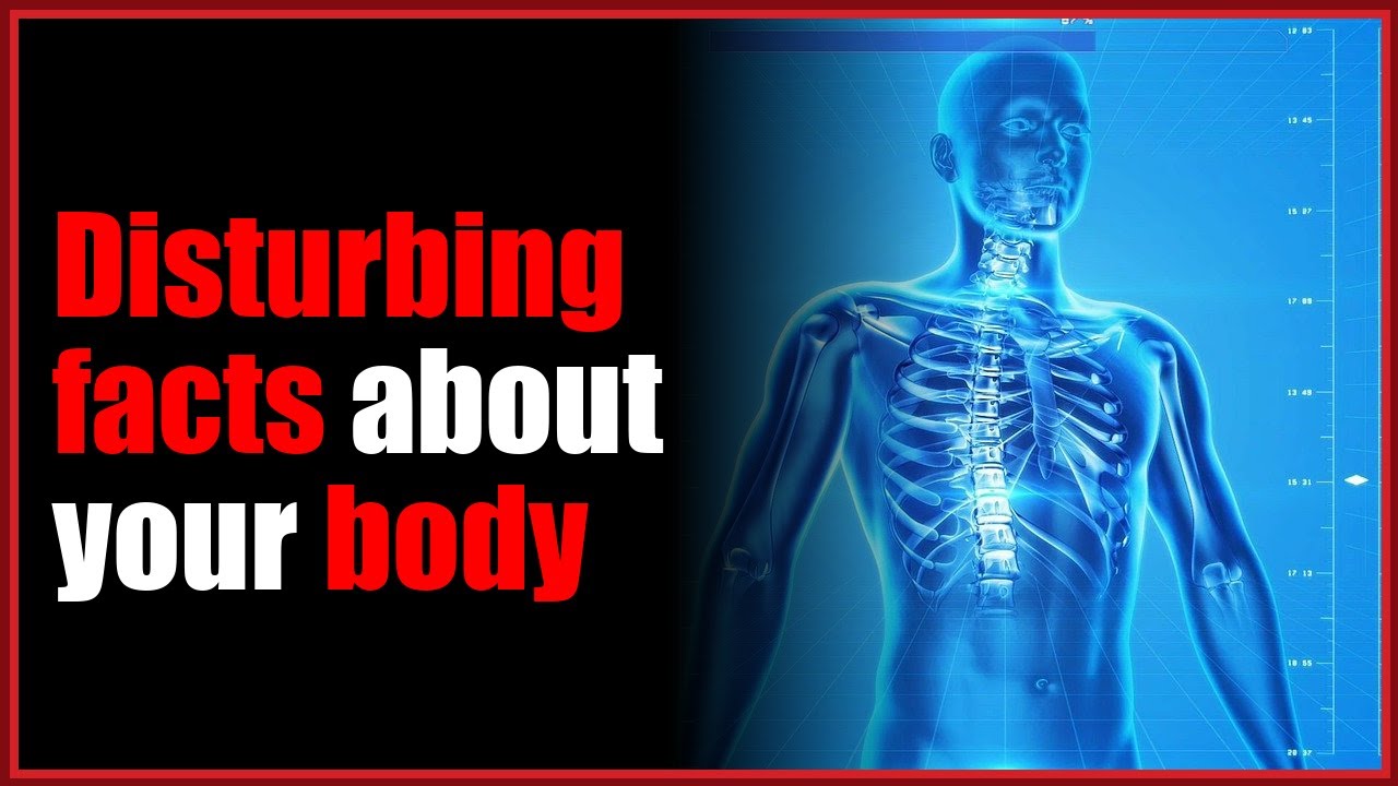 Disturbing facts about the human body - YouTube