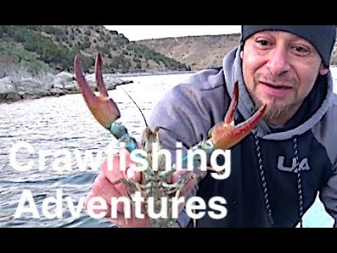 Many Crawfishing Adventures, Catching, True Stories, and More. crawdad ...