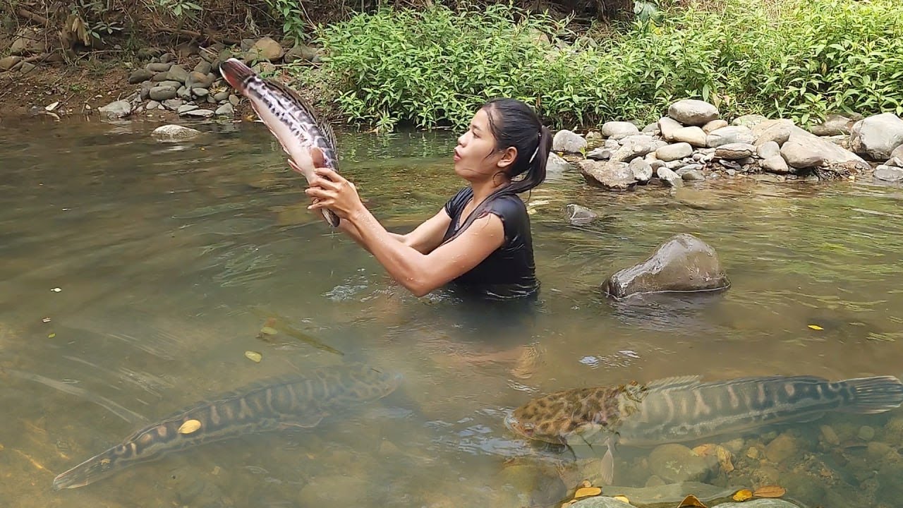 Amazing Skill to catch big fish by hand and cooking Big fish for jungle ...