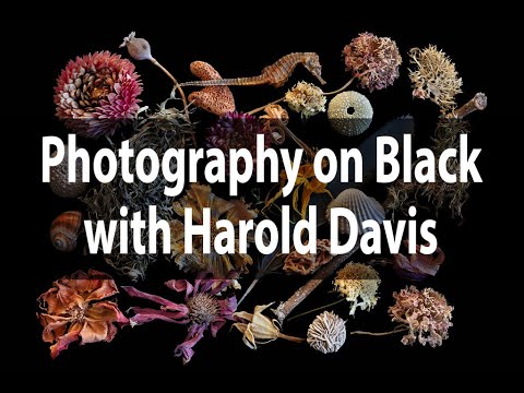 Photography on Black | Webinar with Harold Davis | September 12, 2020 ...