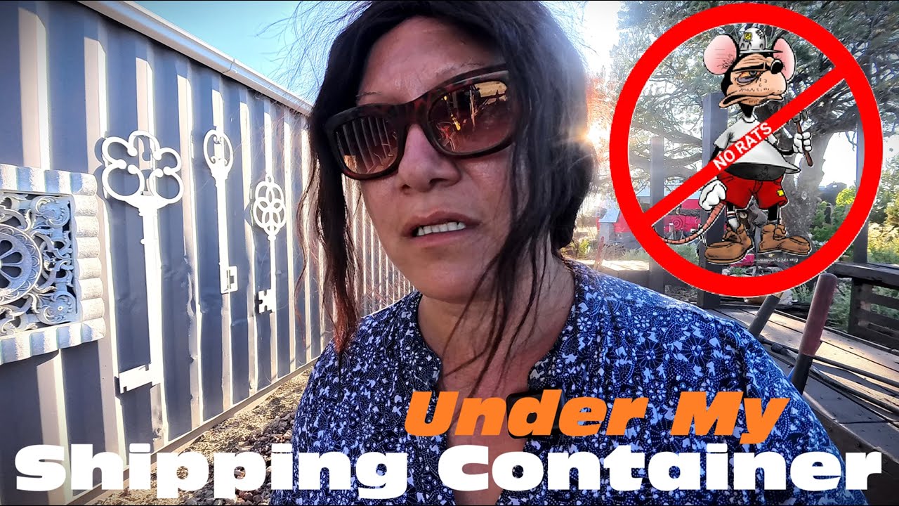 NO Rats Under My Shipping Container! DIY Rodent Proofing & Deterrents ...