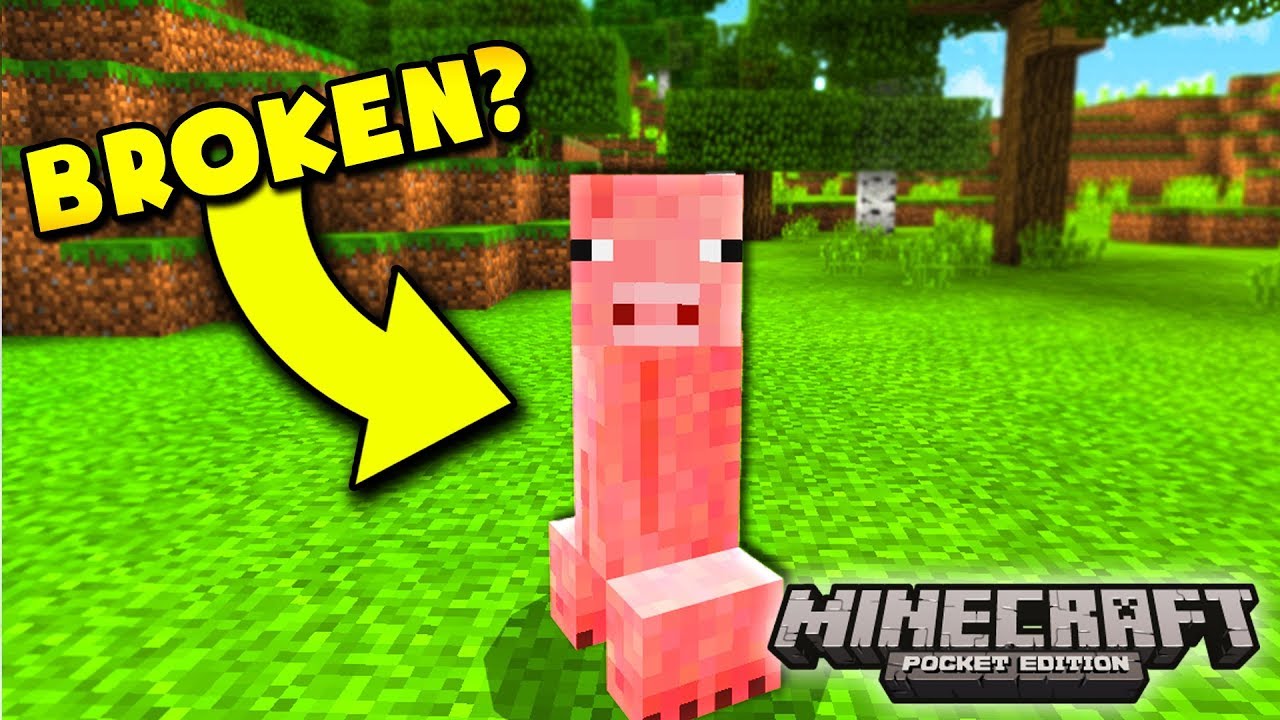 I found a BROKEN PIG in Minecraft! (Minecraft Pocket Edition) - YouTube