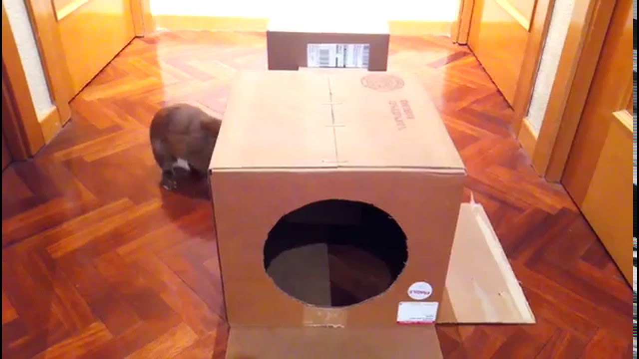 Castillo para conejos DIY | Bunny castle DIY - YouTube