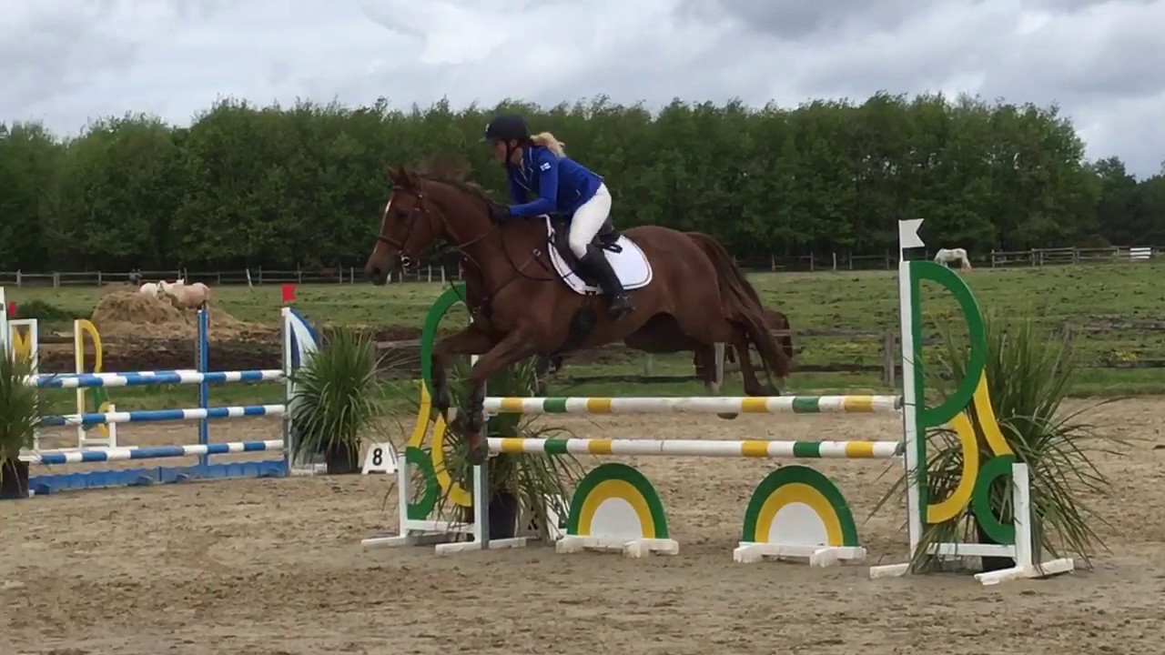 Une cso 110 horse ball 6 may 2017 - YouTube