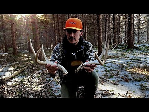 Shed hunting PA Public Land Big Woods - YouTube