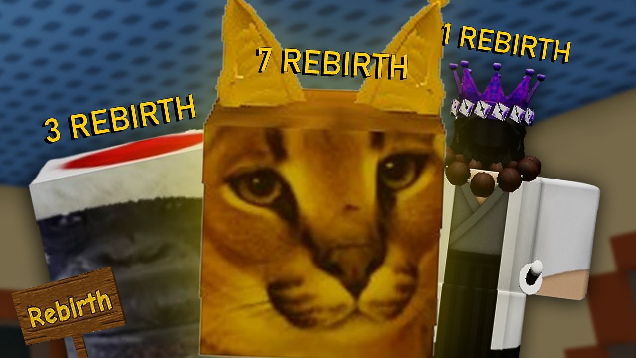 Raise A Floppa 2 ALL REBIRTH ITEMS SHOWCASE! - YouTube