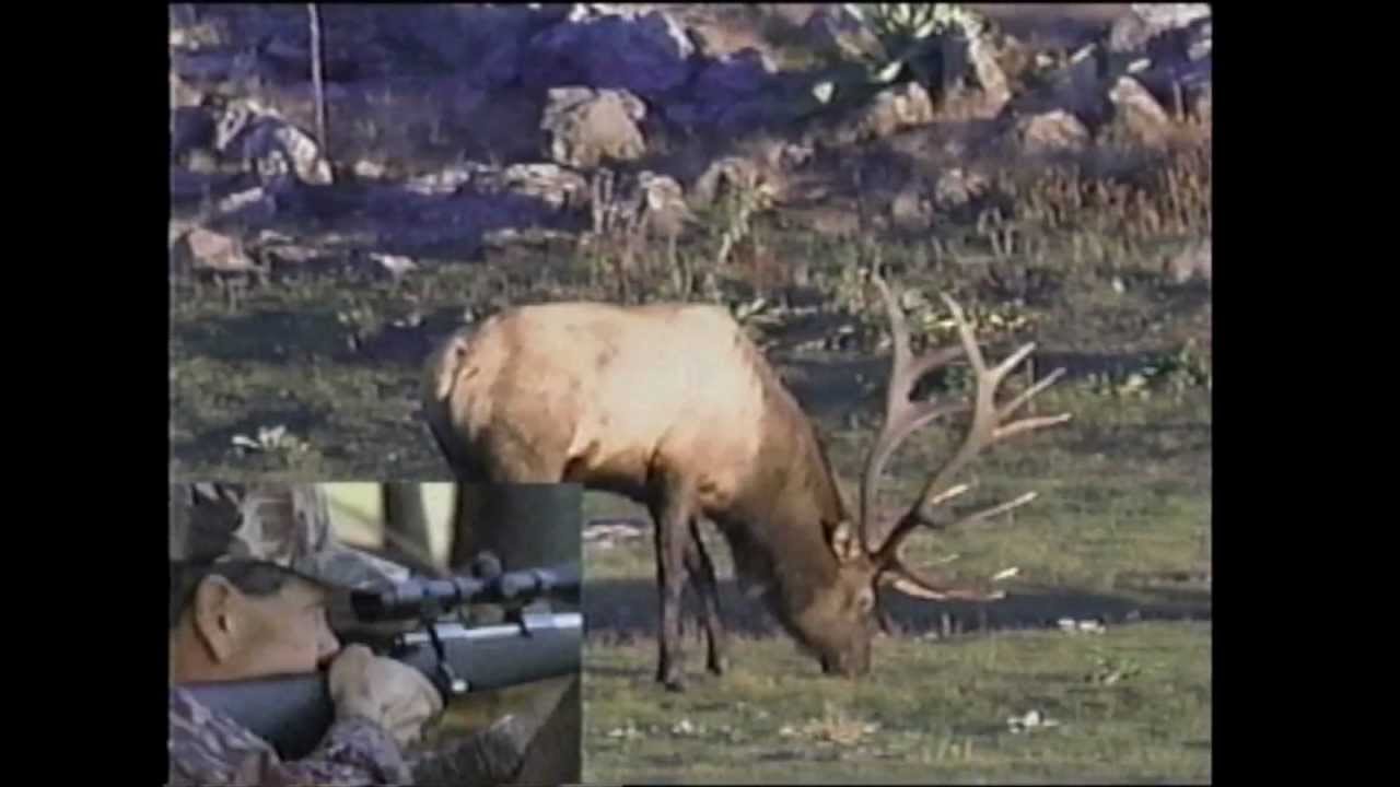 Elk Hunting on the White Mountain Apache Reservation - Ron McKim ...