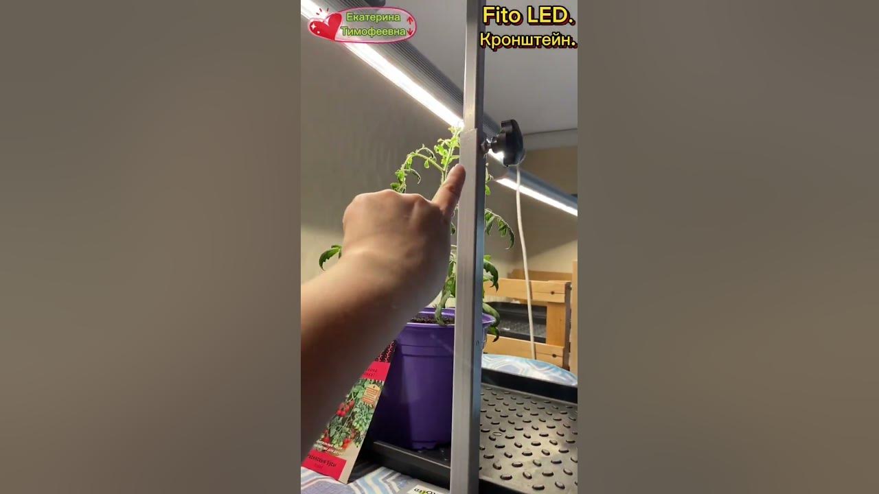 Кронштейн от FitoLED. #фитолед #фитолед79sun #фитосветильник #фитосвет ...