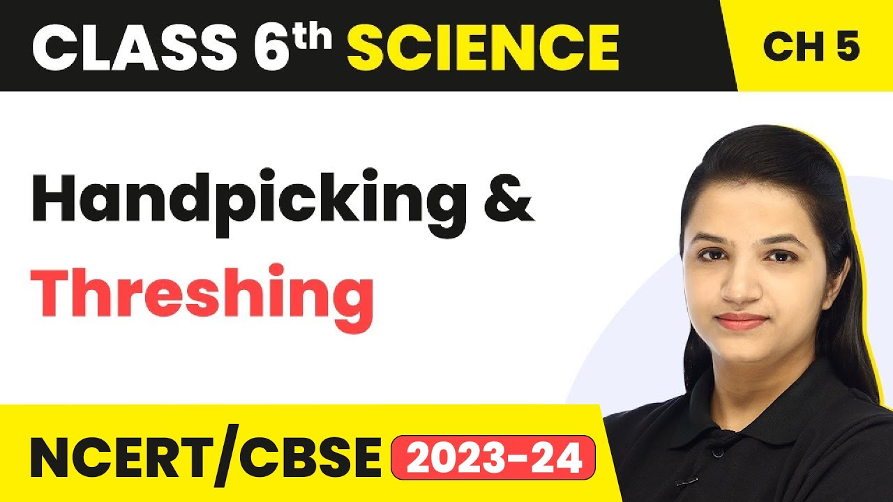 Class 6 Science Chapter 5 | Separation of Substances - Handpicking ...