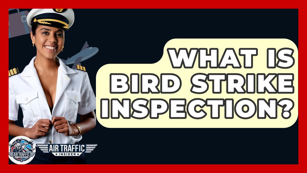 What Is Bird Strike Inspection? - Air Traffic Insider - YouTube