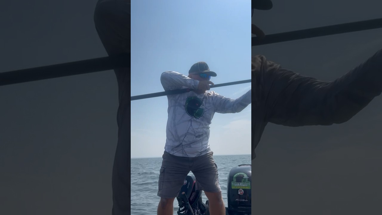 Coot’s a dancin to Shad-Rapp #cootslures #letsgofishing # ...