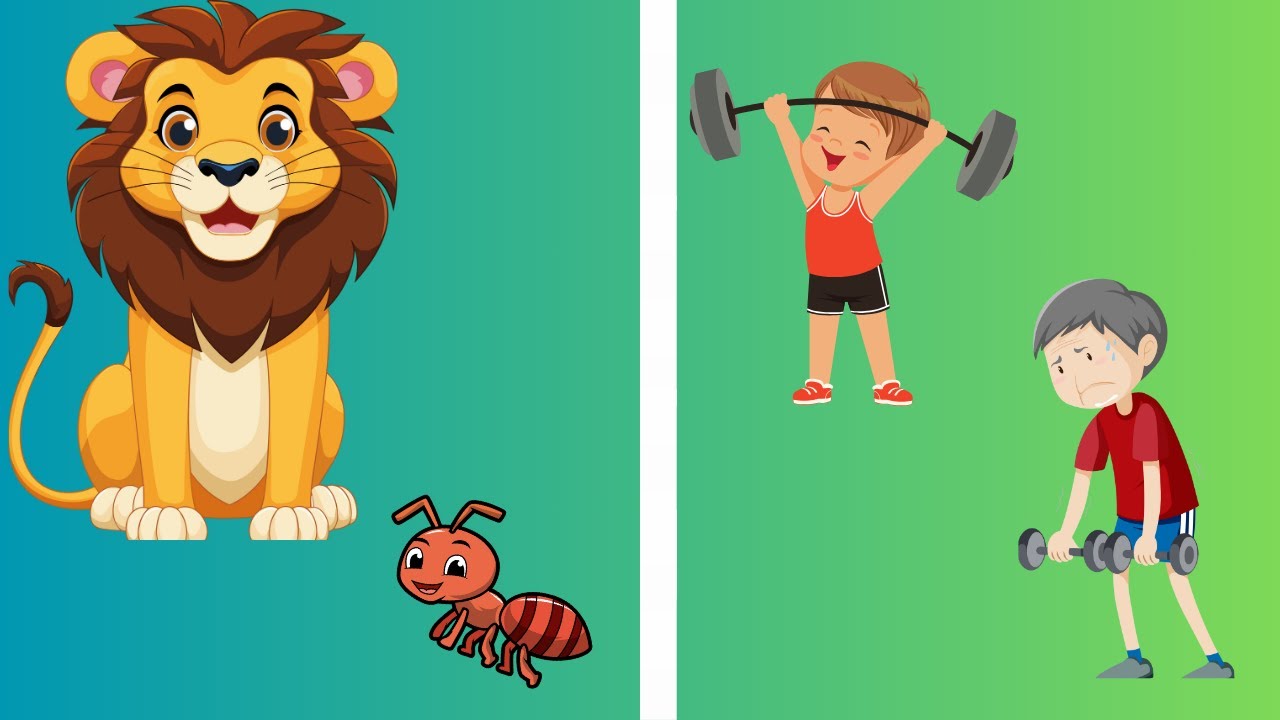 Opposite Words for Kids | Learn Opposites | Fun Learning Video for ...