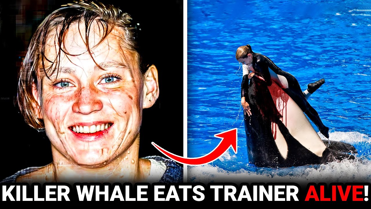 The Woman Who Lost Her Life during Performance with Killer Whale in ...