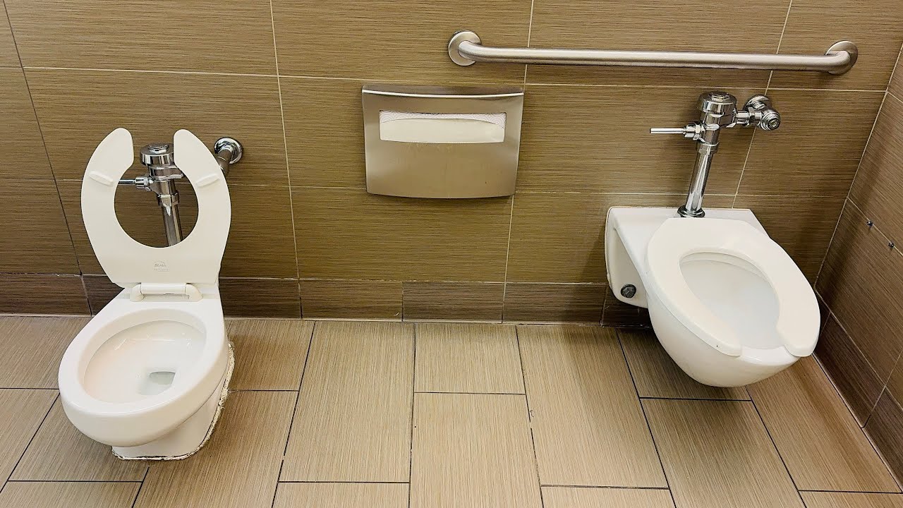 Toto CT708, American Standard Baby Devoro Toilet Flush, Dyson Airblade ...