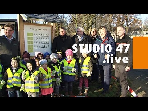 STUDIO 47 .live | BAUMPFLANZAKTION IN NEUENKAMP
