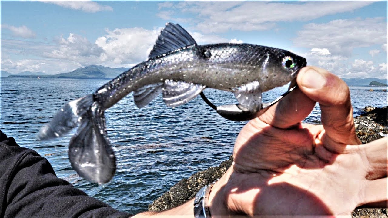 Fishing Alaska's Shore ALONE with new Swimbait - YouTube