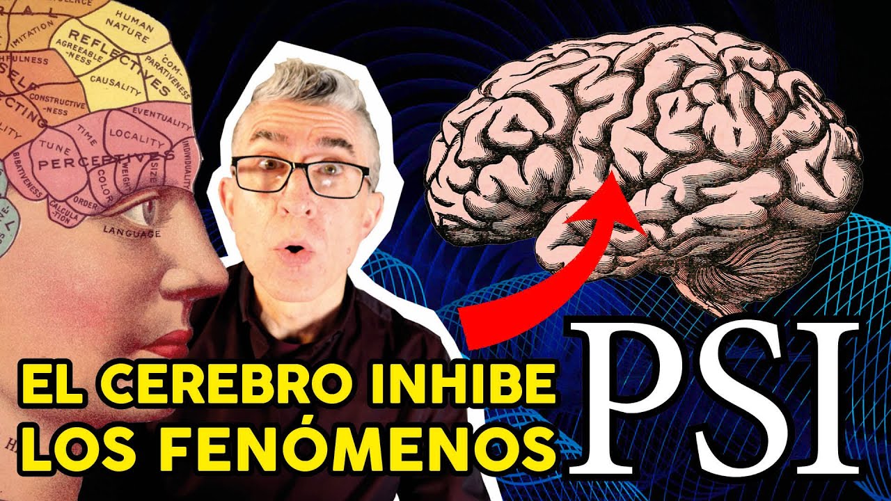 Científicos DESCUBREN que el CEREBRO INHIBE los fenómenos PSI | Teoría ...