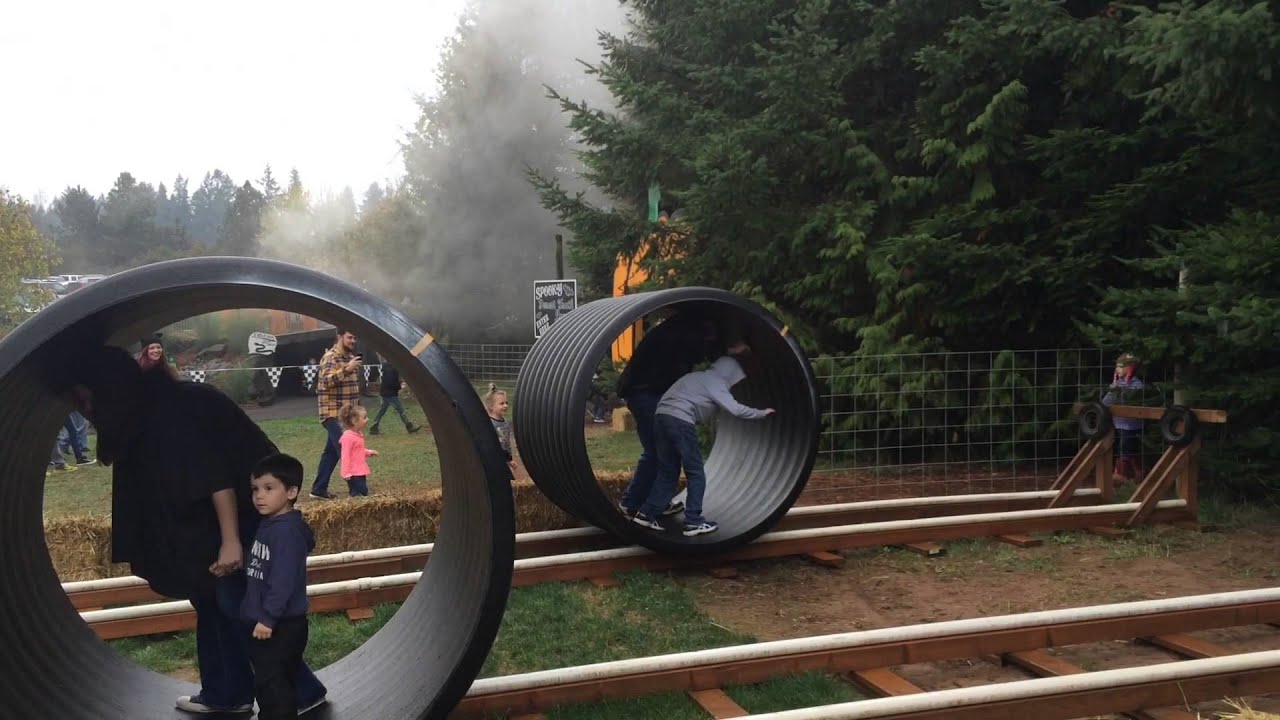 Grandparents In Hamster Wheel Fail - YouTube
