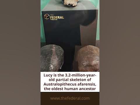 As Lucy turns 50, a search of the oldest human ancestor in Ethiopia ...