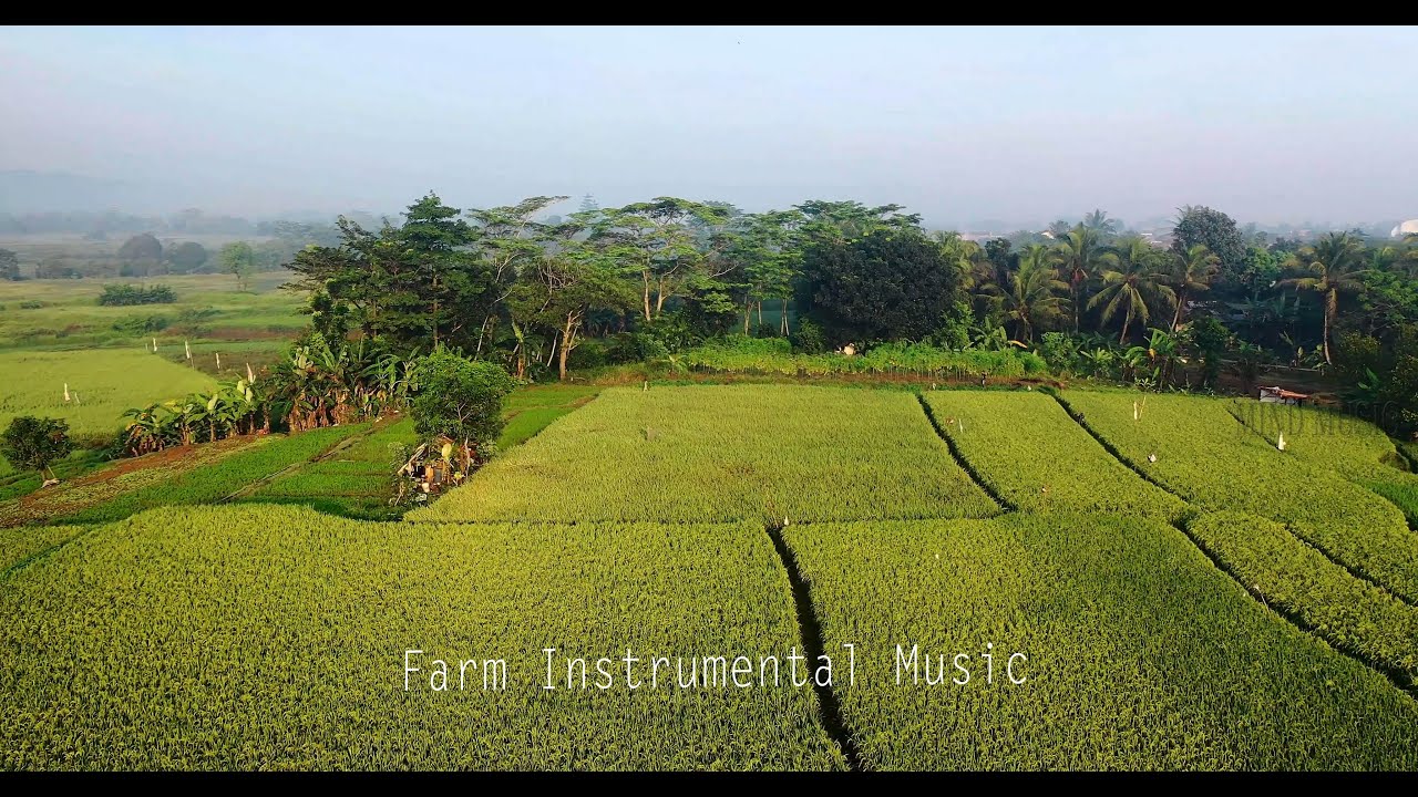 Farm Instrumental Music | Calm Music|Peaceful music | Soul Music ...