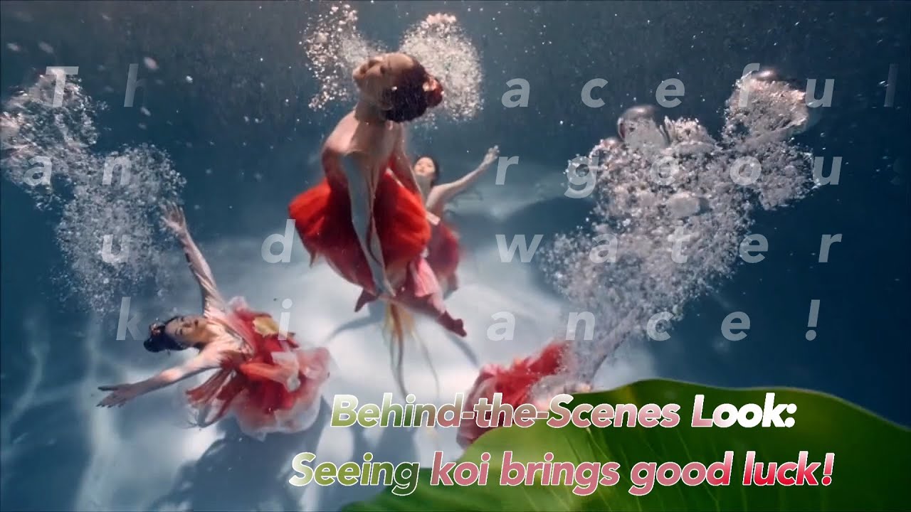 Behind-the-Scenes Look: Seeing koi brings good luck! The graceful and ...