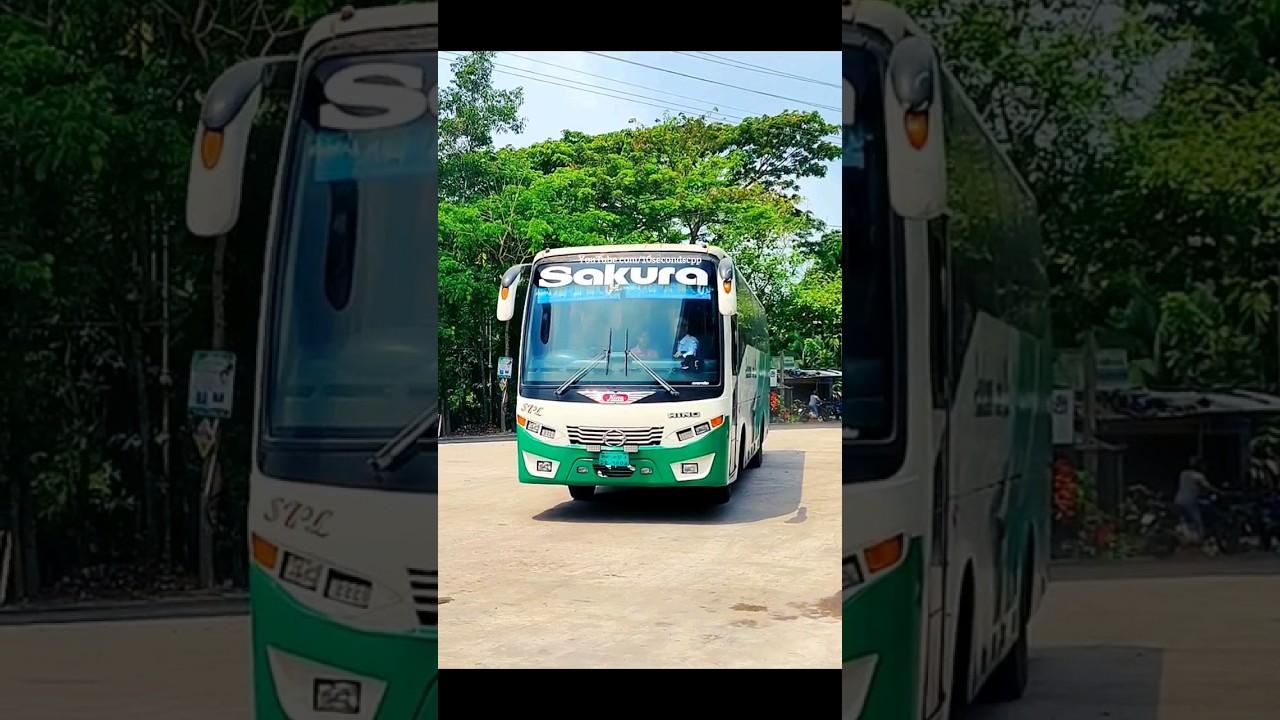 Sakura ac bus #Shorts #travel #volvo @10secondscpp - YouTube