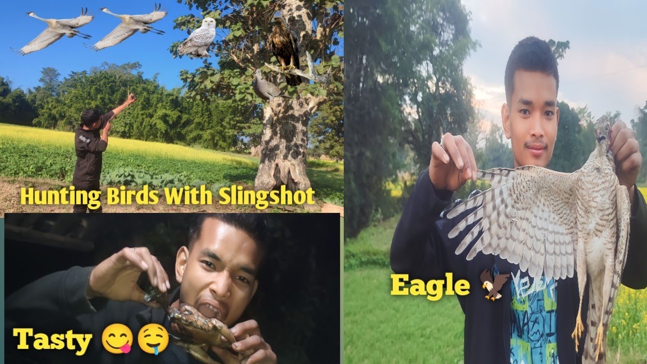Hunting Birds 🐦 🕊️ With Slingshot// I Was Hunted Eagle 🦅🦅// Eagle 🦅 ...