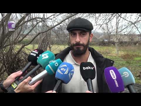 Şəkidə canavar sakinlərə hücum edib, xəsarət alanlar var