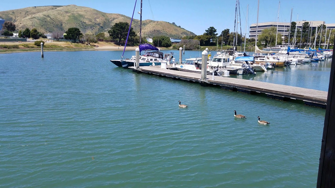 Oyster Point Marina Park , Oyster Point Marina South San Francisco ...