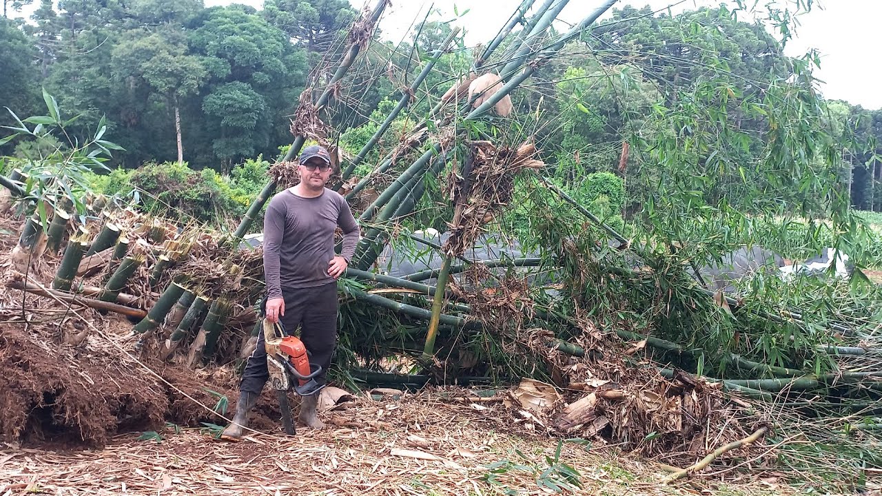 Muitos estragos, grandes prejuízos... Este ano foi difícil! Canal ...