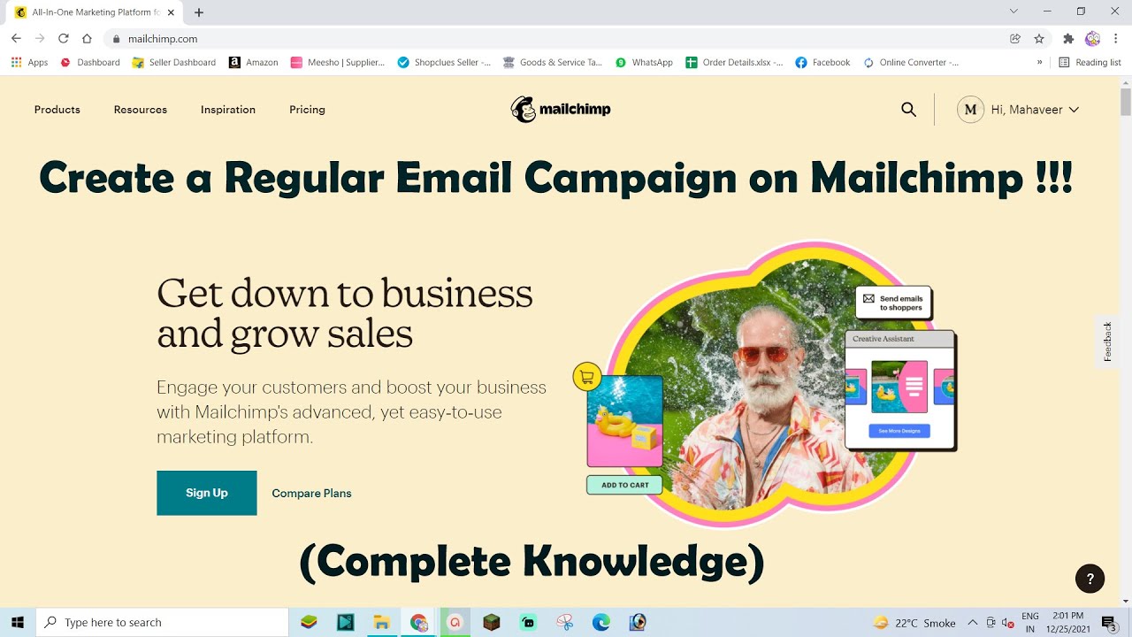 Create a Regular Email Campaign on Mailchimp Complete Knowledge ...