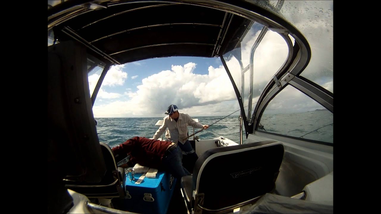 Slatey Bream at Western Rocks.wmv - YouTube