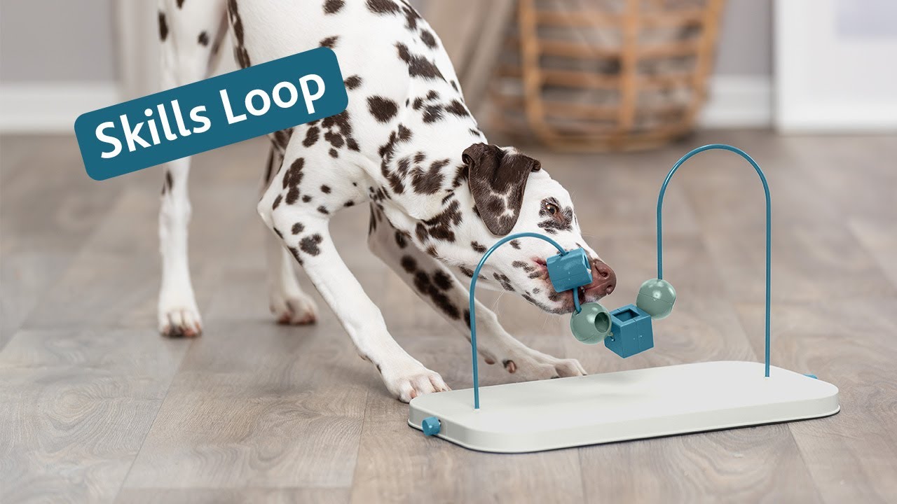 Dog toy Skills Loop - The strategy game with a twist - TRIXIE ...