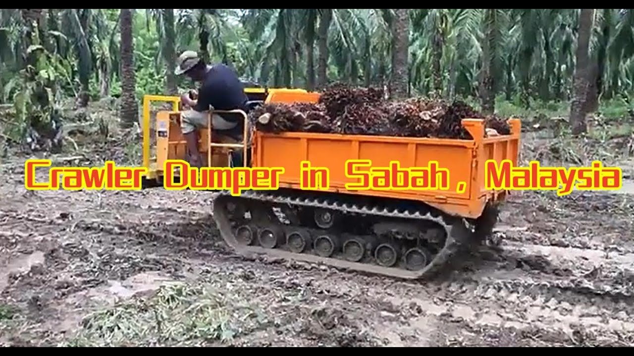 DUMP TRUCK Crawler Dumper Alat Sawit Kapasitas 3 Ton di Perkebunan ...
