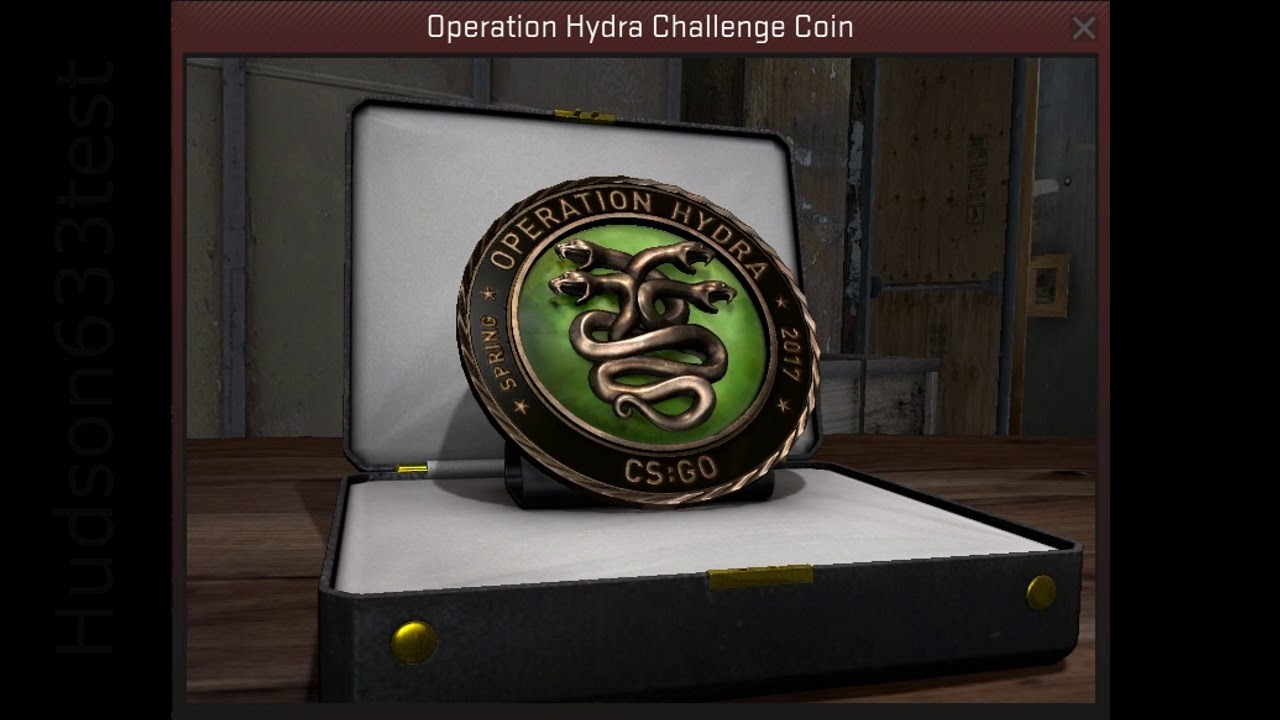 Bronze Hydra Coin CSGO - YouTube