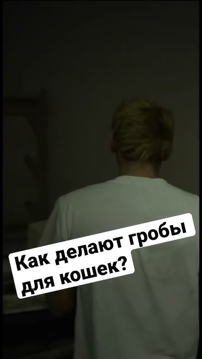Гробы для кошек #кошки #киски #животные #похороны - YouTube