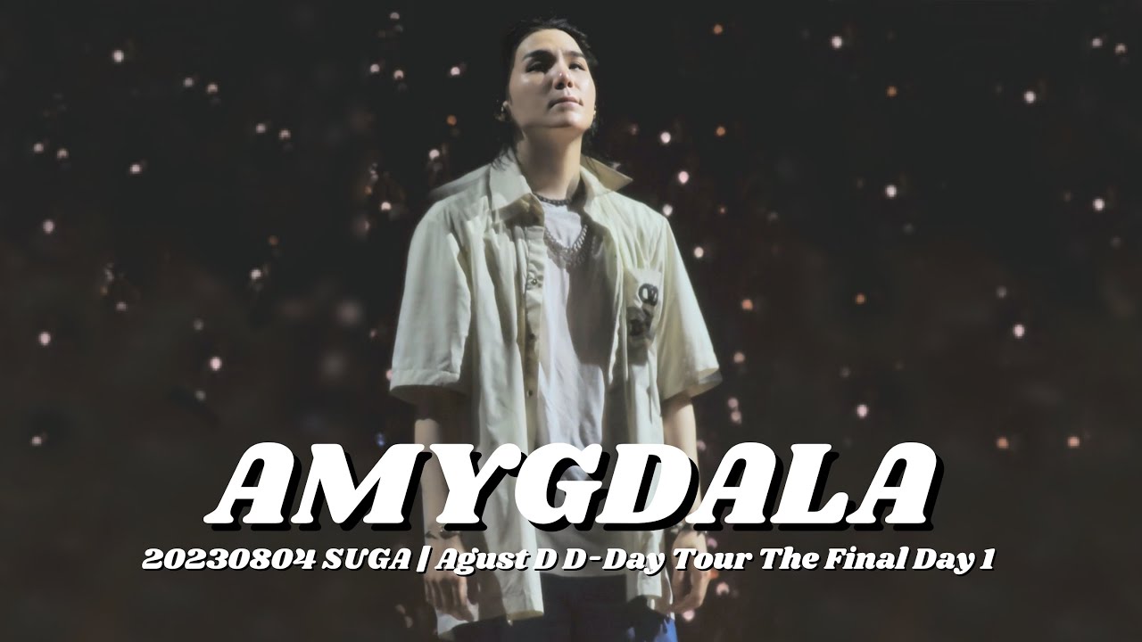 AMYGDALA[4K FanCam]@20230804 SUGA | Agust D D-Day Tour The Final Day 1 ...
