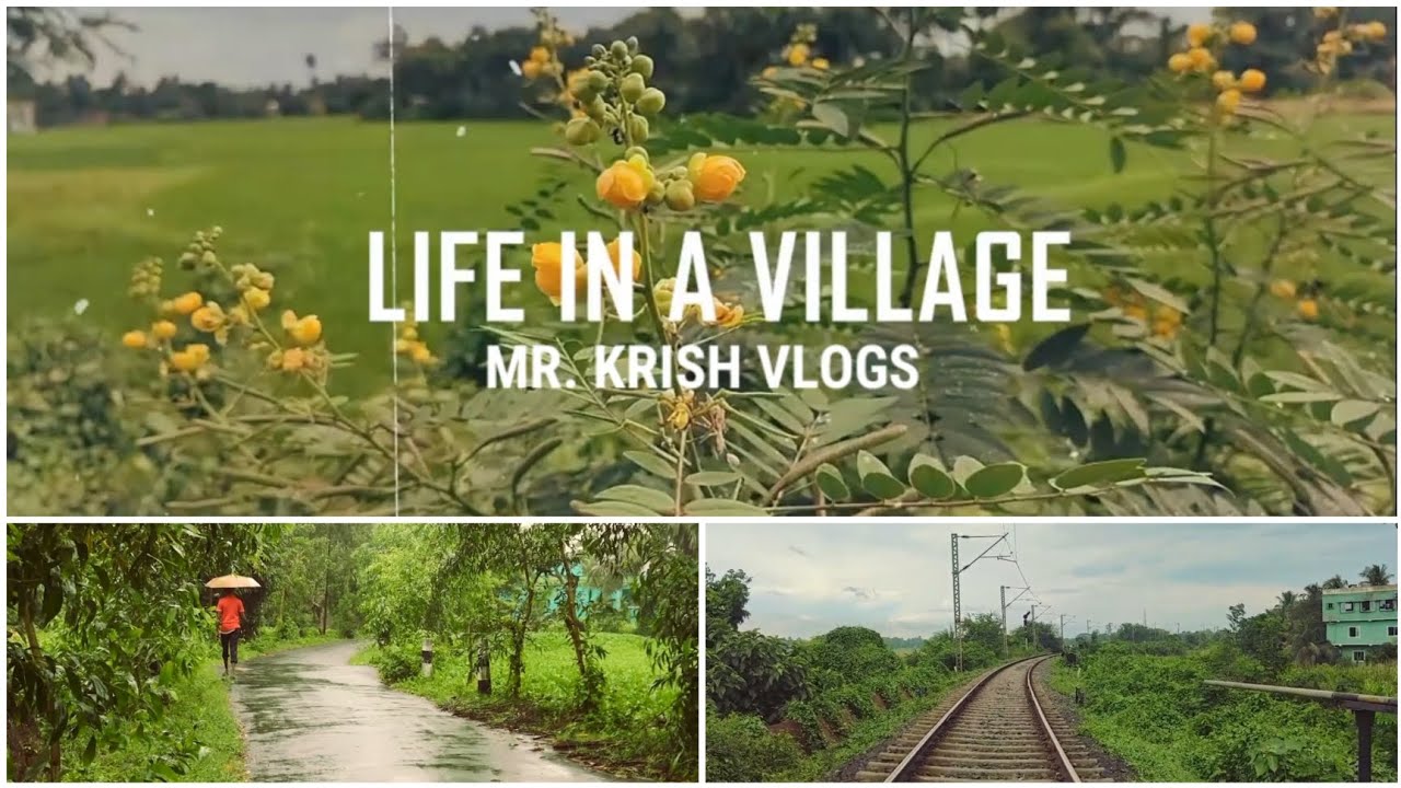 ( Life in a Village ) একটি ছোটো গ্রামের সুন্দর পরিবেশ. Mr. krish vlogs 🙏 - YouTube