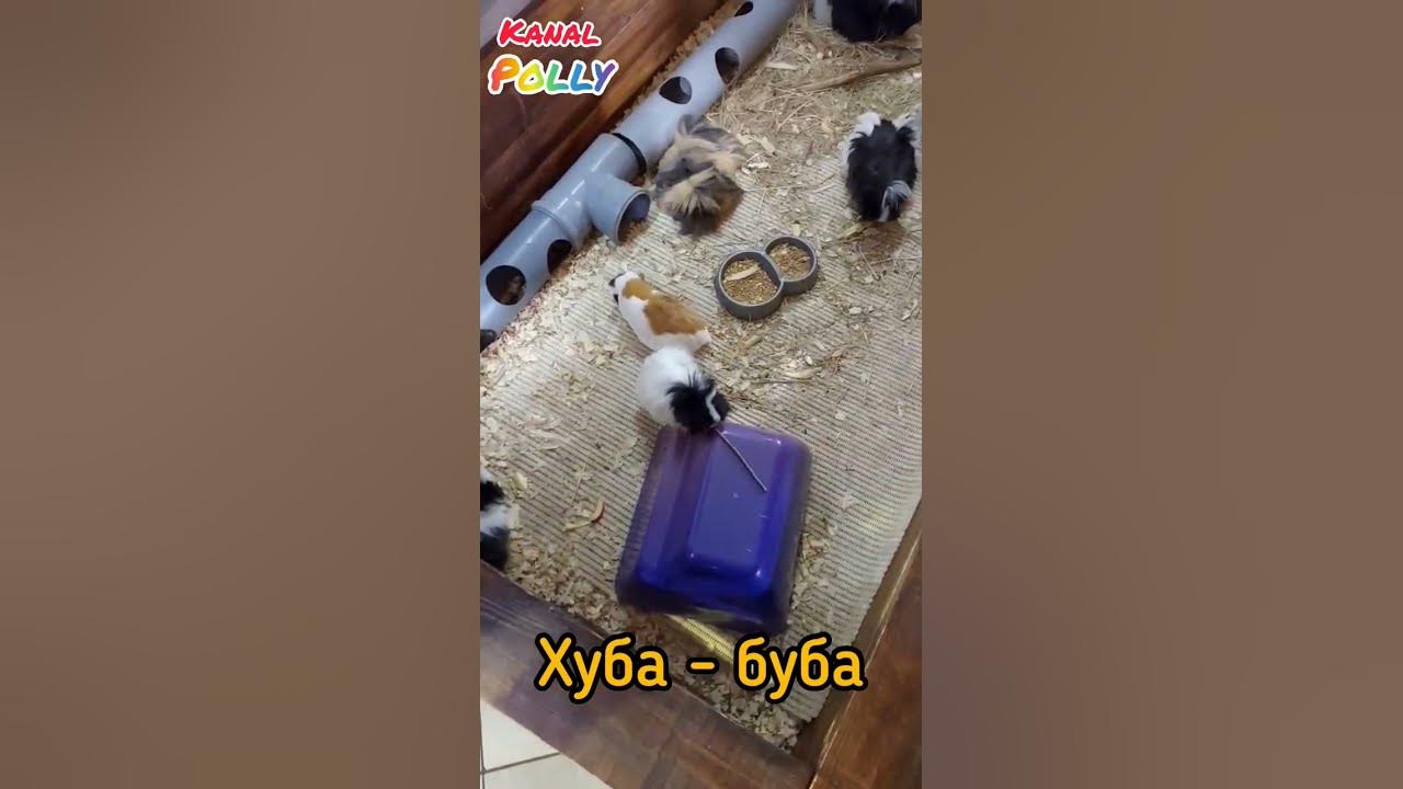 хуба- буба - YouTube