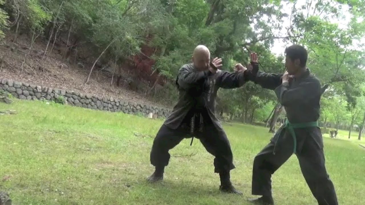 Ninjutsu Kyoto Japan 🇯🇵 SUMMER FREE Ninjutsu Class The fundamentals ...