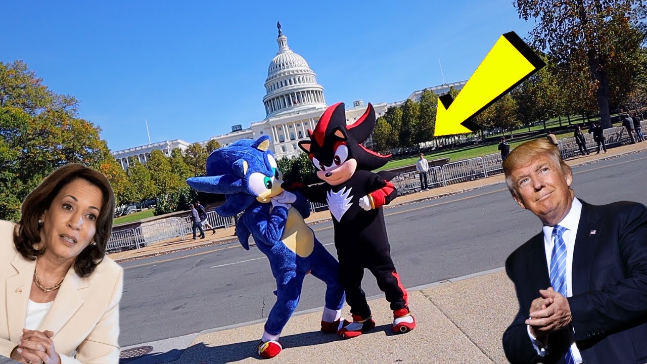 SONIC VS SHADOW ON ELECTION DAY!!! - YouTube