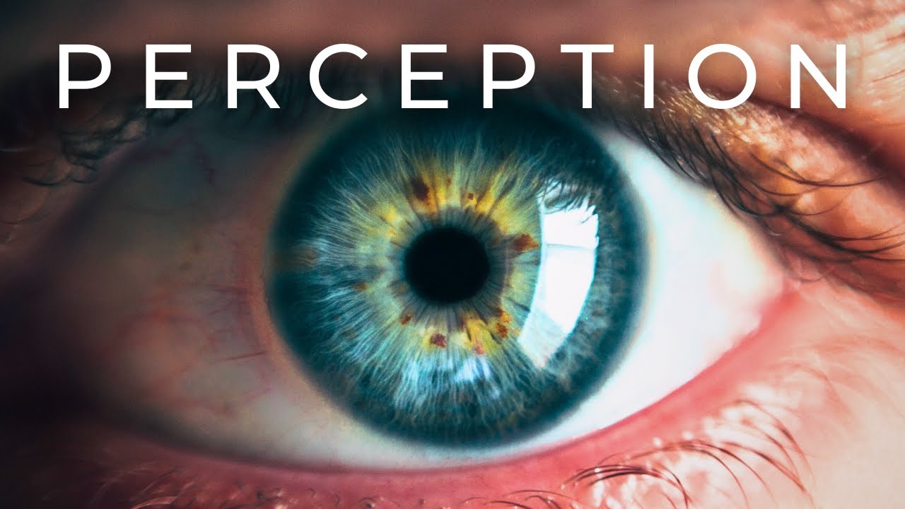 Why Perception Is Everything - YouTube