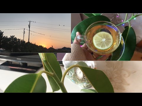 #təmizlik günü #motivasyon #sessiz vlog #silent vlog