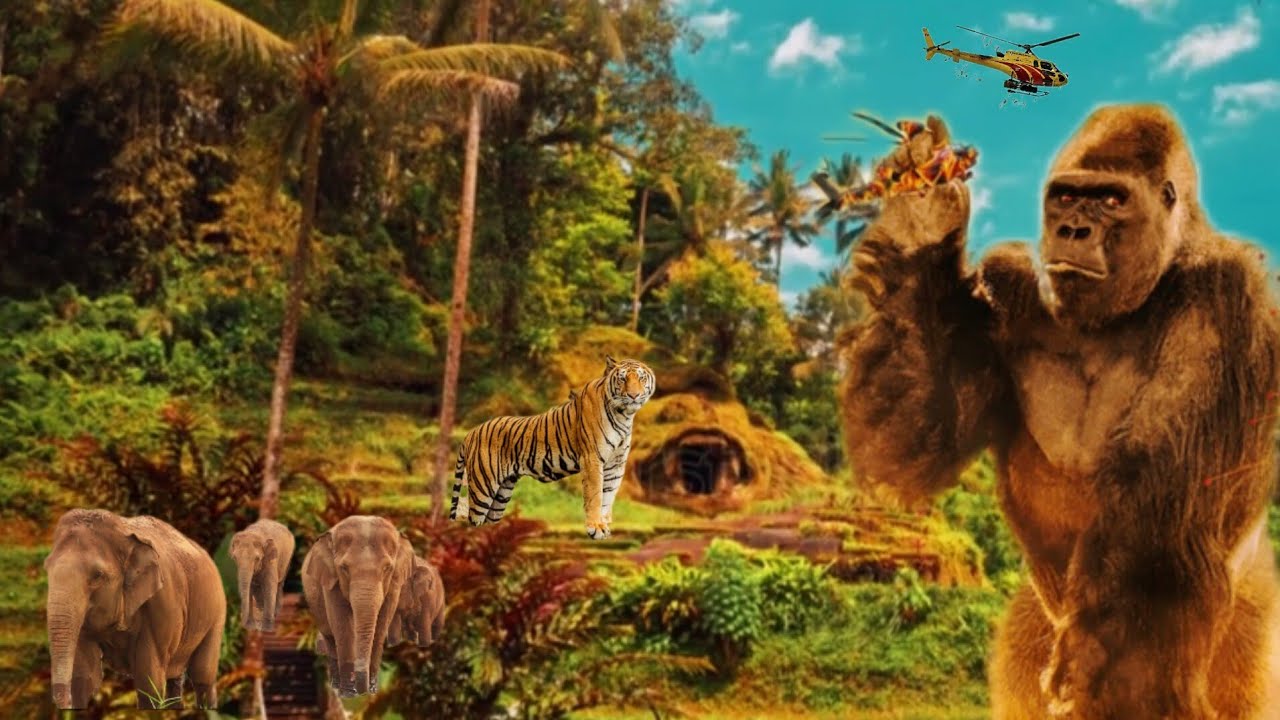 amazing wildlife animals | king kong Kannada no 7 - YouTube
