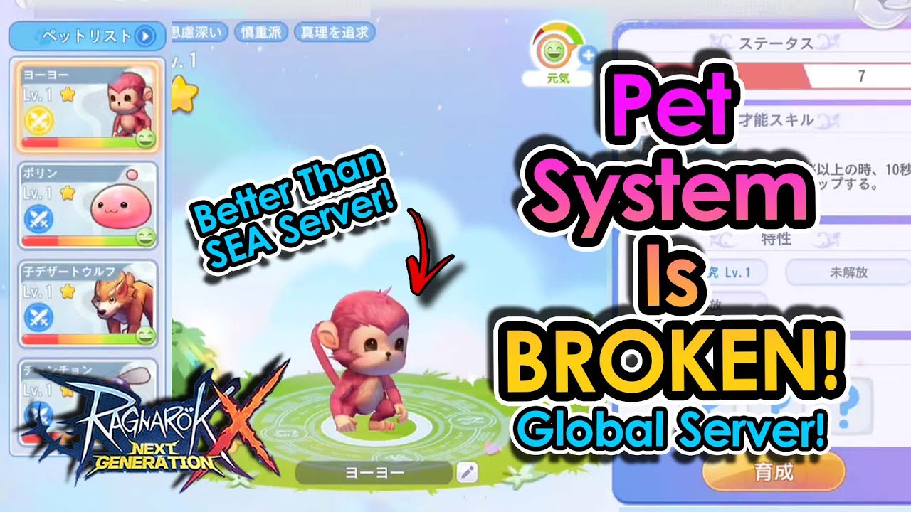 [ROX] 10x Better Than SEA?! ROX Global’s PET SYSTEM IS BROKEN! | King ...
